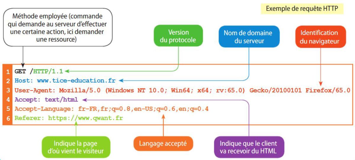 Le fonctionnement du Web [Enseignement SNT module "Le Web"]